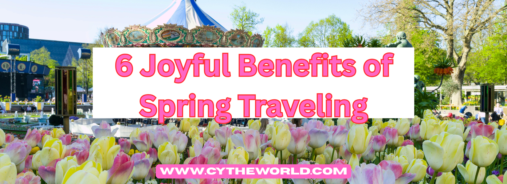 CY THE WORLD – gift yourself experiences